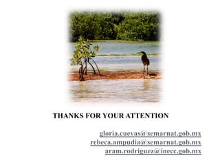 Monitoring and evaluation of adaptation: An approach from Mexico ...