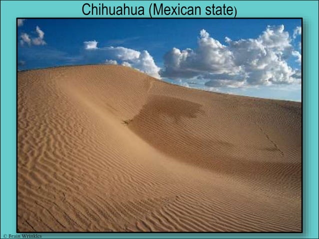 Mexico brazil and cuba | PPT