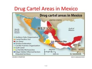 Drug Cartel Areas In Mexico