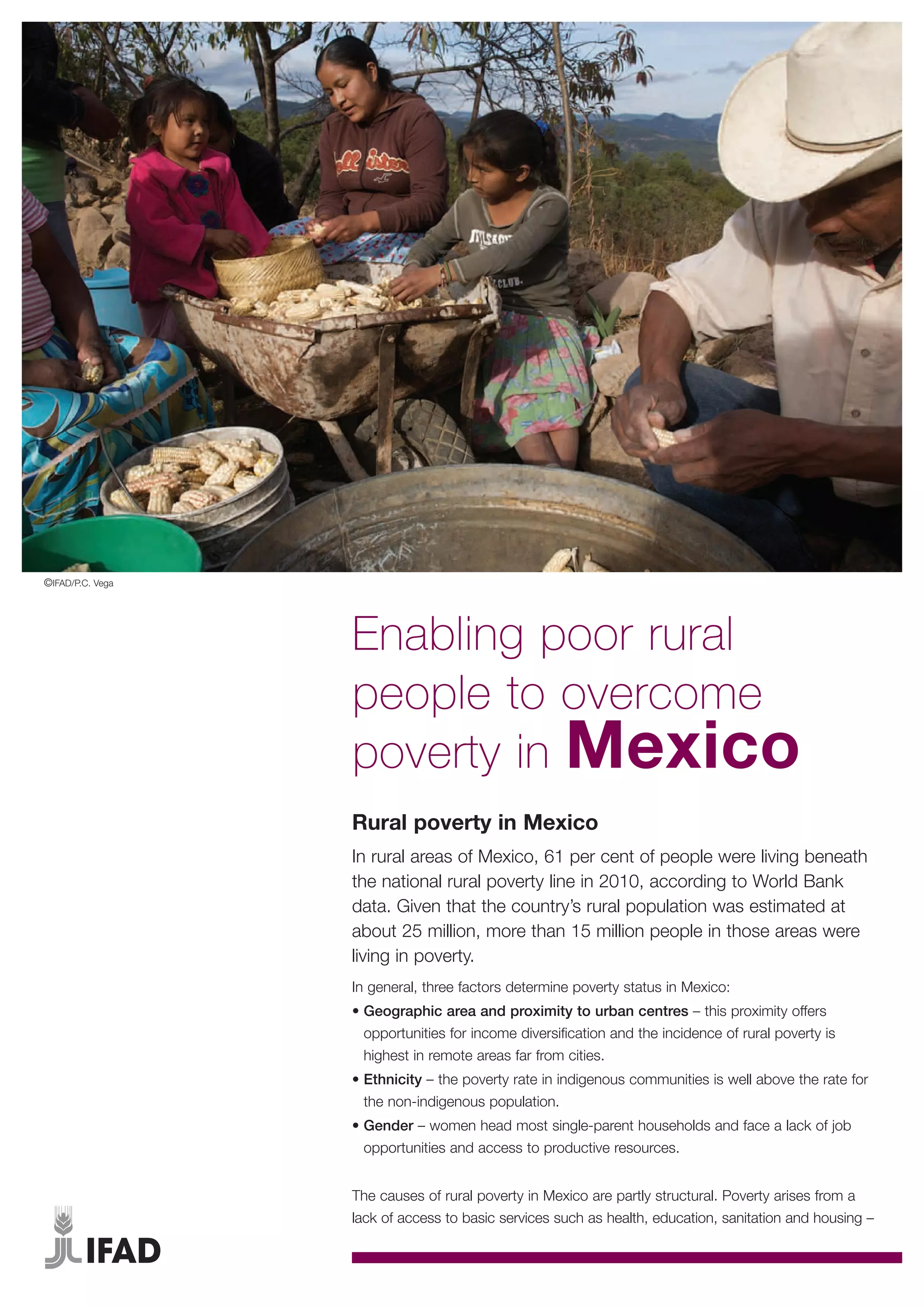 Rural Poverty in Mexico | PDF