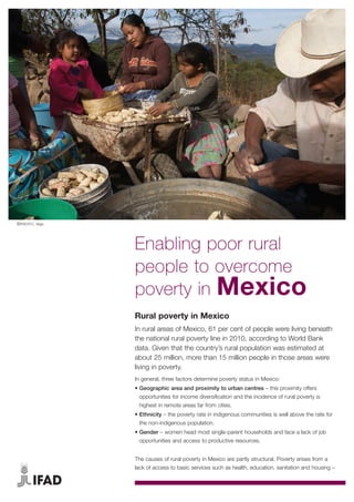 Rural Poverty in Mexico | PDF