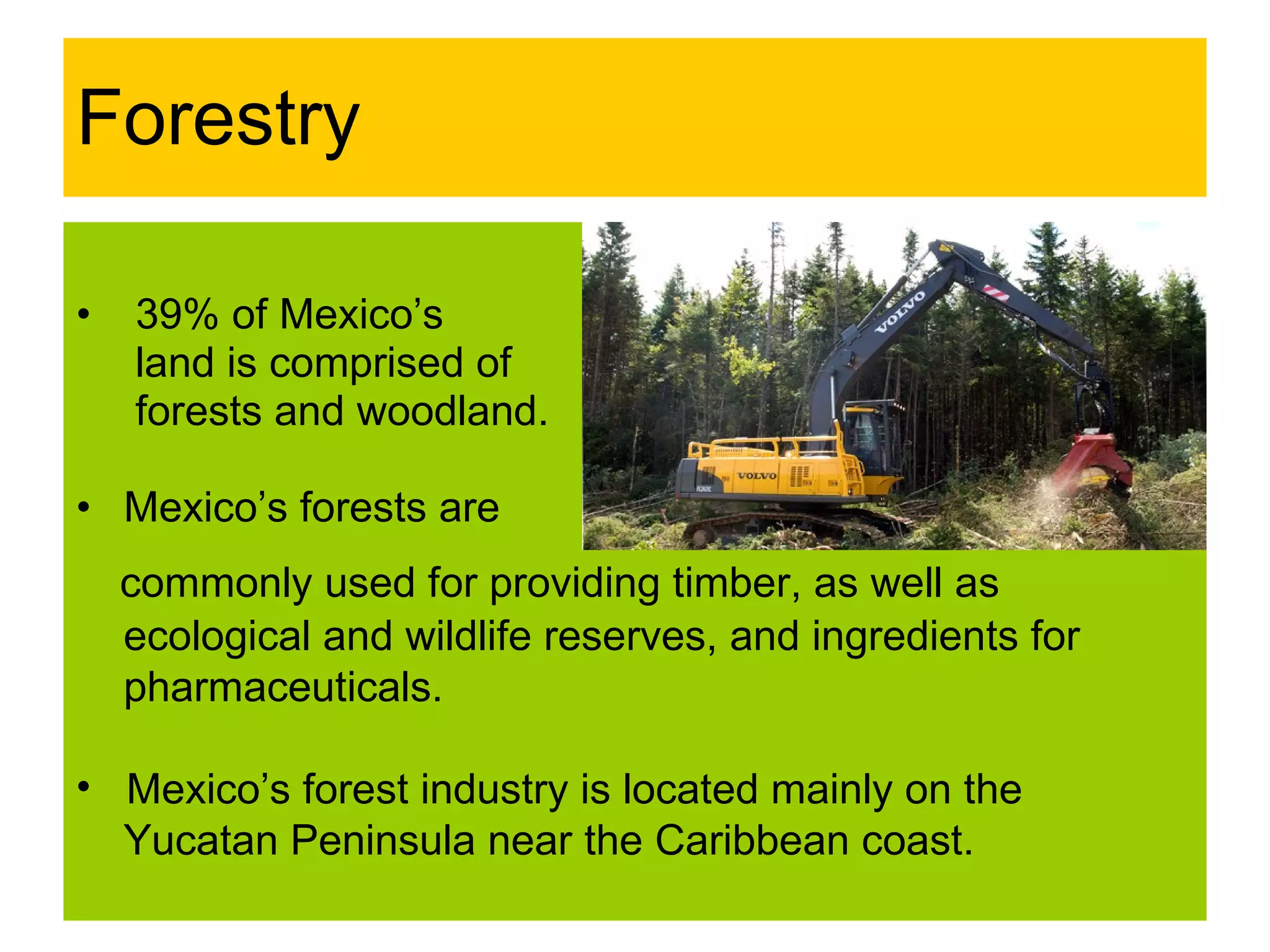 Mexico’s natural resources | PPT