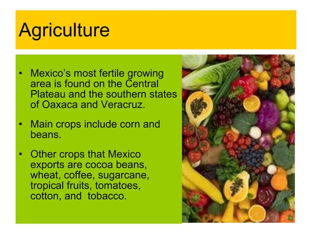 Mexico’s natural resources | PPT | Commodities | Economy