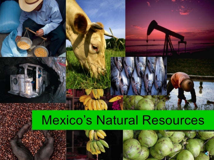Mexico’s Natural Resources