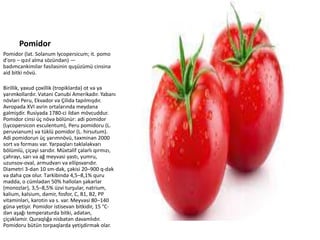 Meyve ve terevezler.pptx