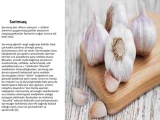 Meyve ve terevezler.pptx