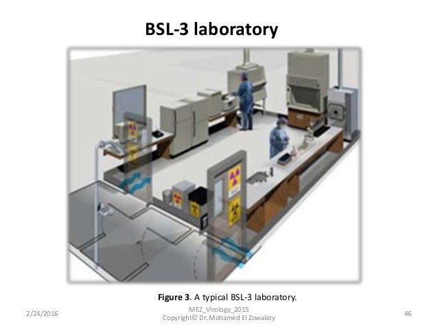 Mez medical virology