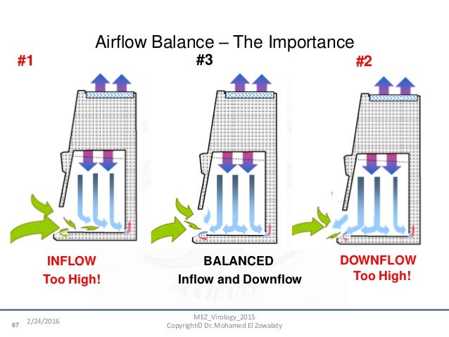 Mez medical virology