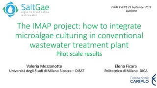 The IMAP project - SaltGae Final event | PPT