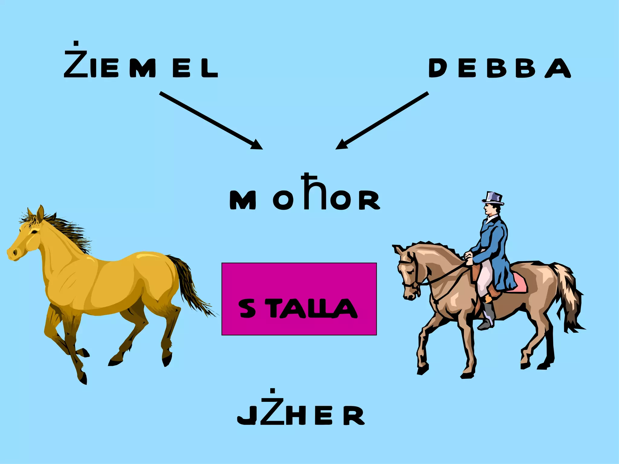 Maskil u Femminil | PPT