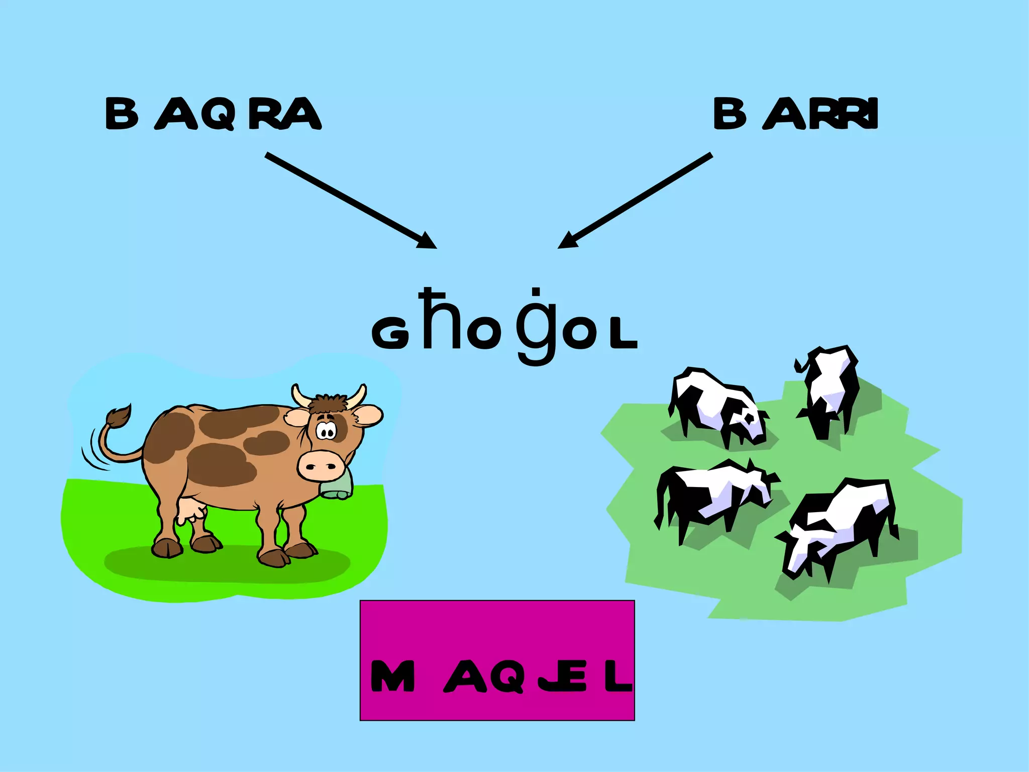 Maskil u Femminil | PPT