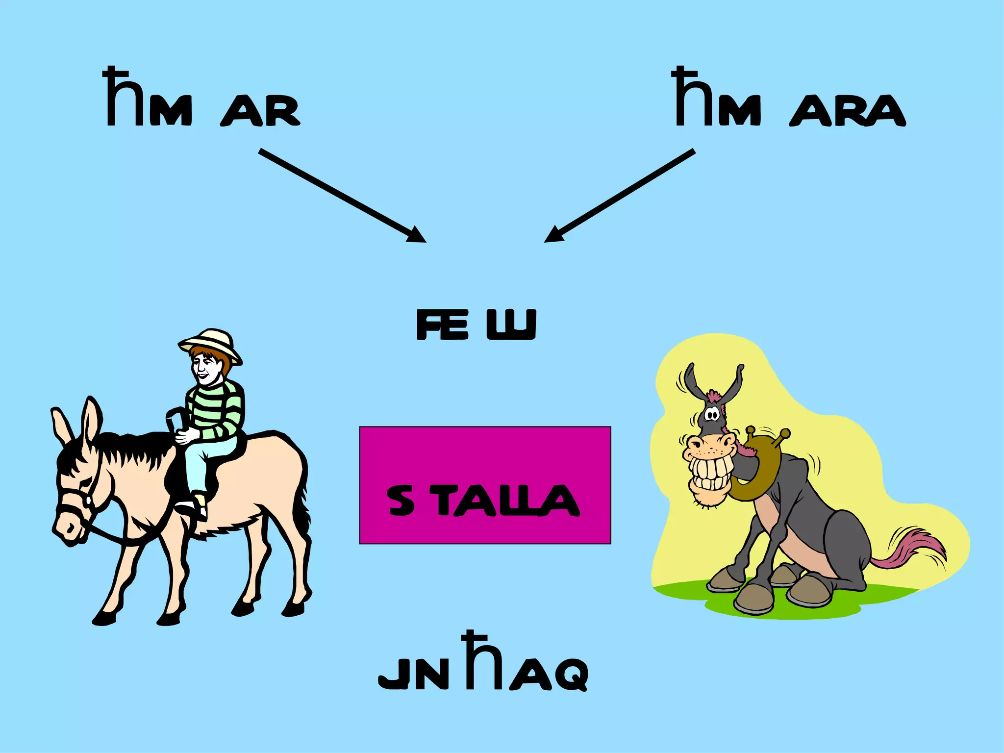 Maskil u Femminil | PPT