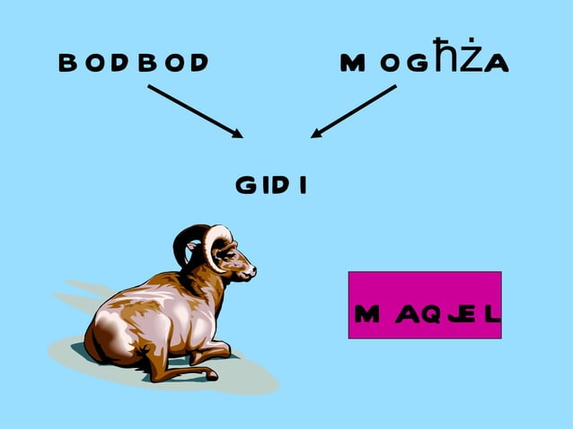 Maskil u Femminil | PPT