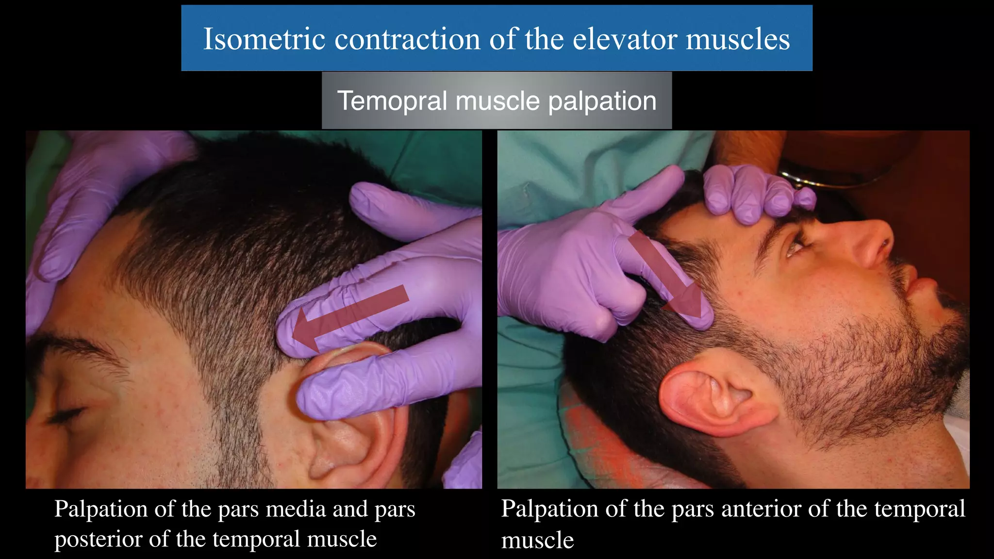 Manual Functional Analysis | PPT