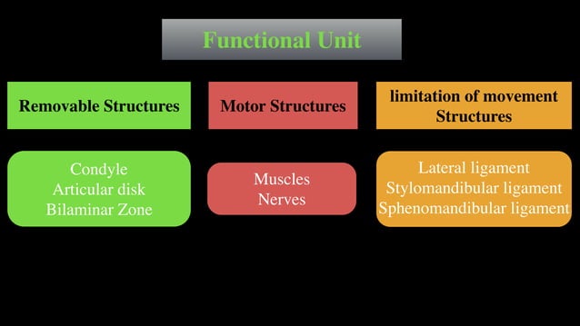 Manual Functional Analysis | PPT