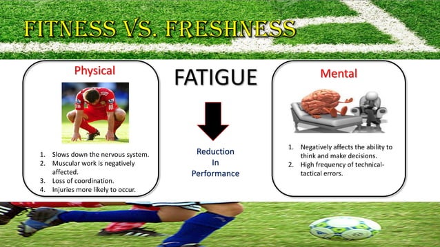 Youth Football (soccer) Periodisation | PDF | Bodybuilding | Sports