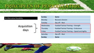 Youth Football (soccer) Periodisation | PDF
