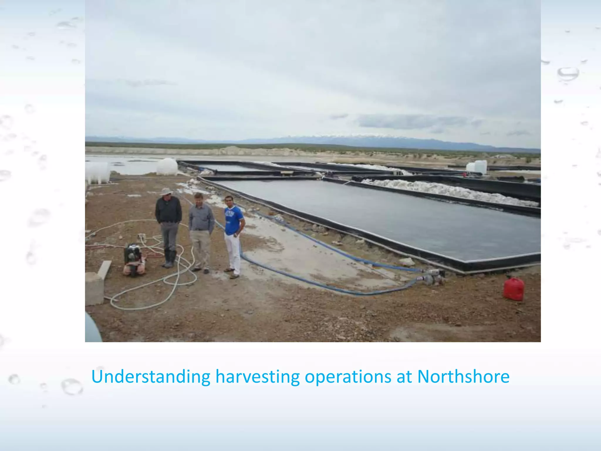 MfaDirect Income Plan - Dr.Dave