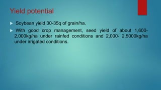 Soyabean | PPTX