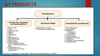 Soyabean | PPTX