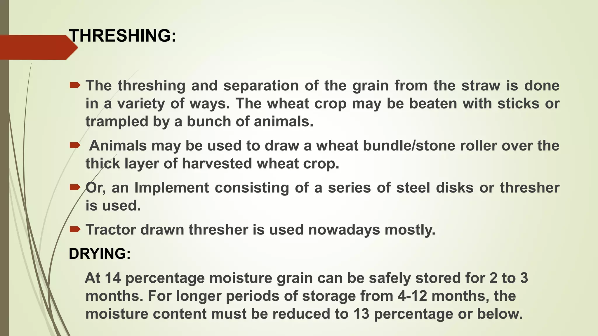 Wheat | PPTX