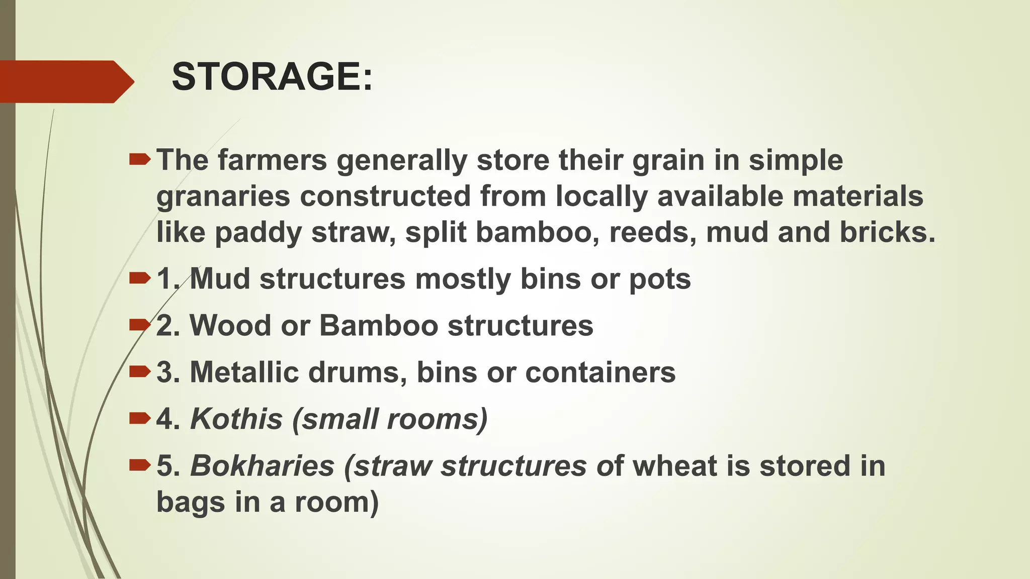 Wheat | PPTX