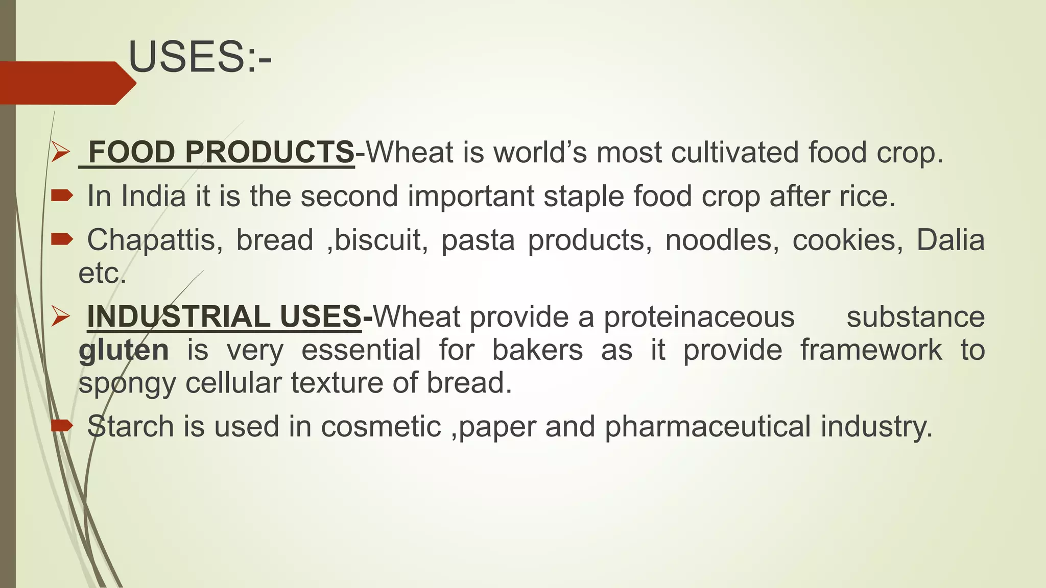 Wheat | PPTX