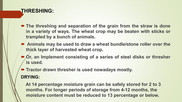 Wheat | PPTX | Agriculture | Industries