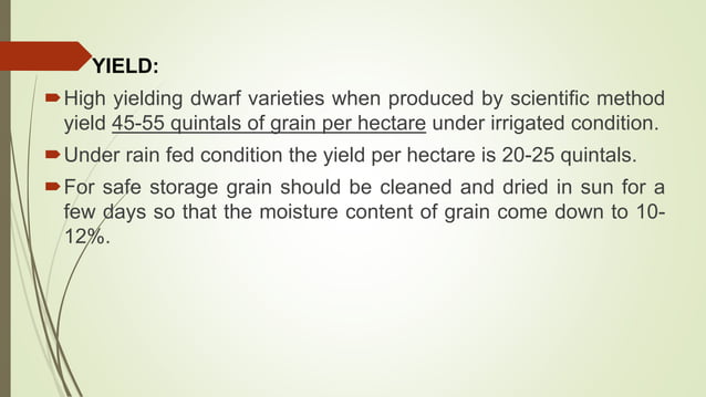 Wheat | PPTX | Agriculture | Industries