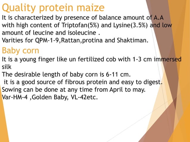 Maize | PPTX | Agriculture | Industries