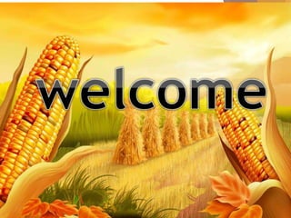 Corn Background For Powerpoint