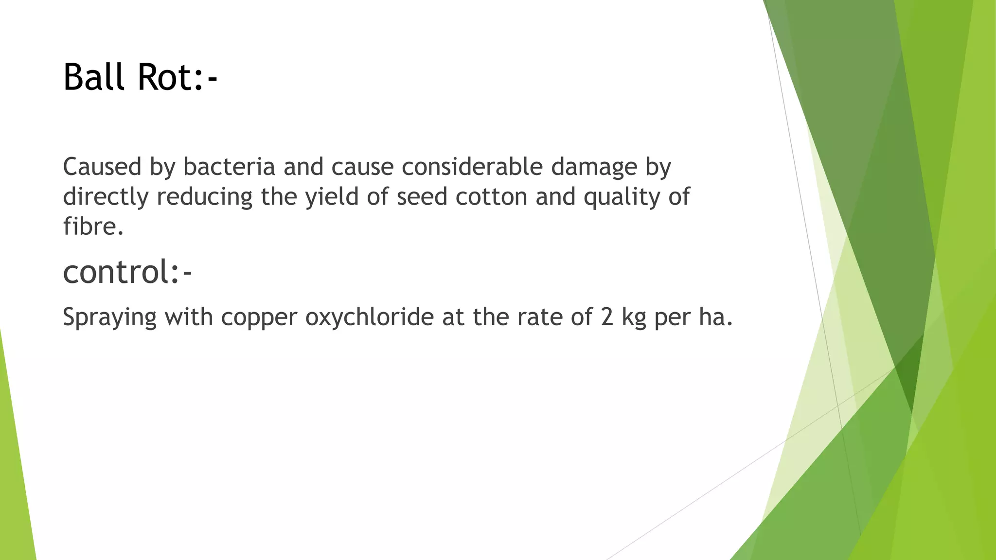 Cotton | PPTX