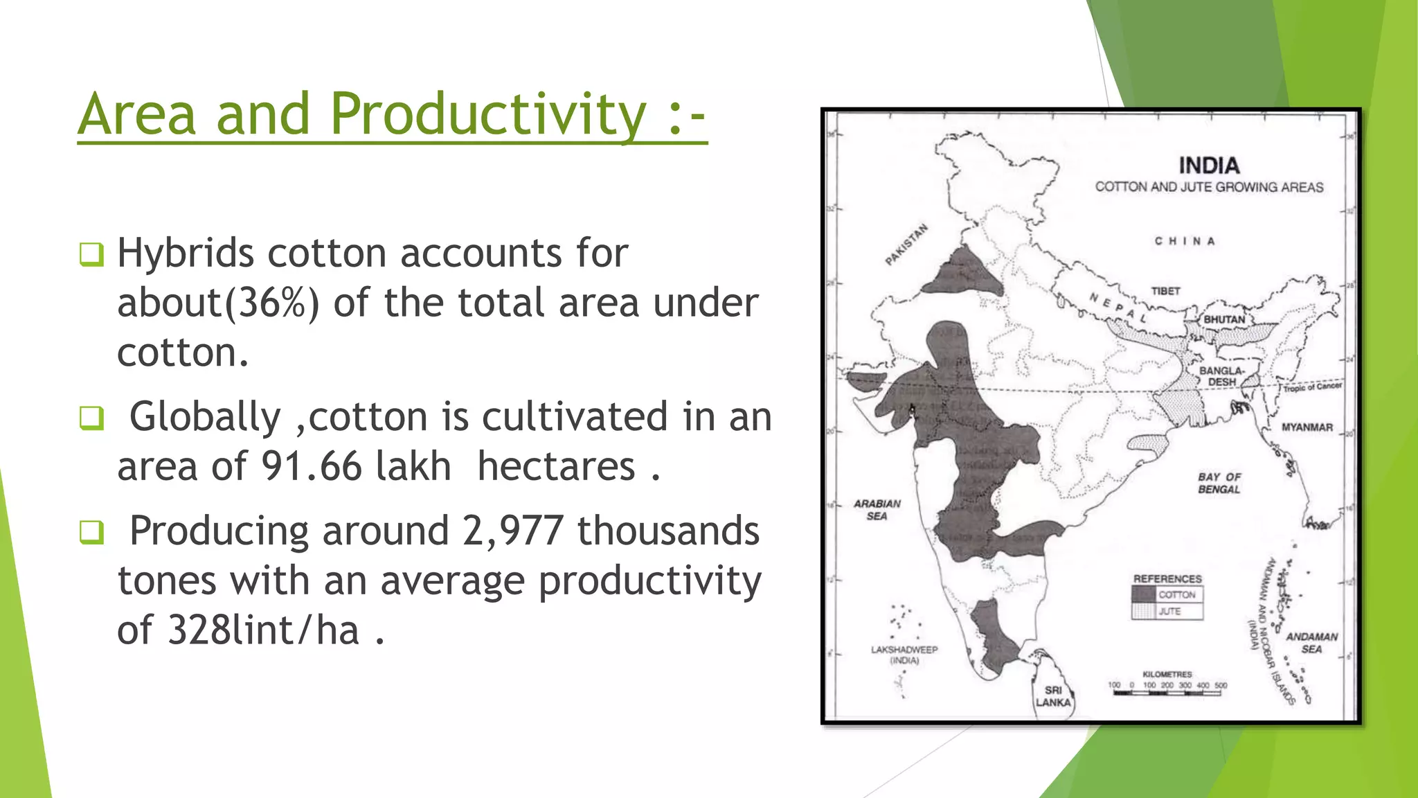 Cotton | PPTX
