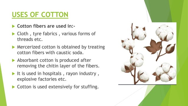 Cotton | PPTX