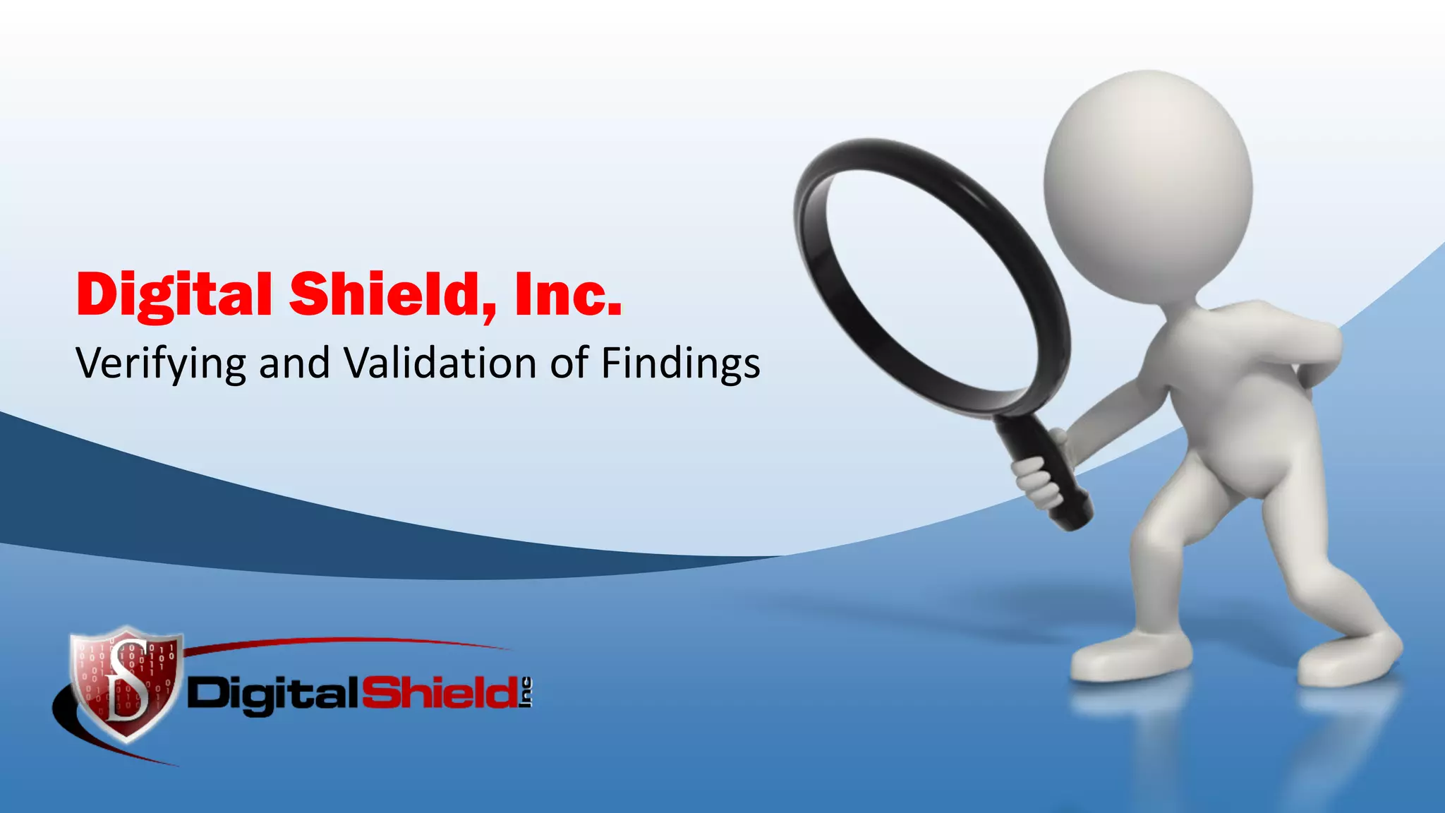Verification and Validation of Findings | PDF