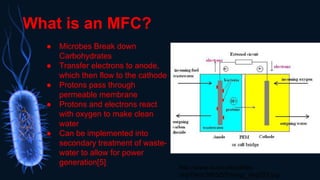 Genetic Engineering of Bacteria for a Microbial Fuel Cell | PDF