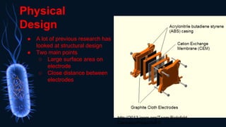 Genetic Engineering of Bacteria for a Microbial Fuel Cell | PPT | Free ...