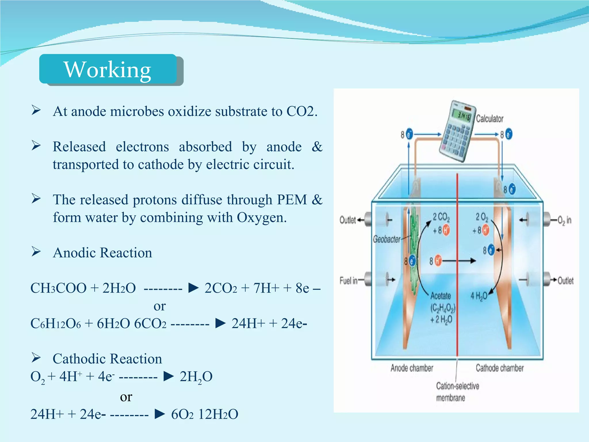Microbial fuel cell. | PPT | Biotech and Biomedical Industry | Industries