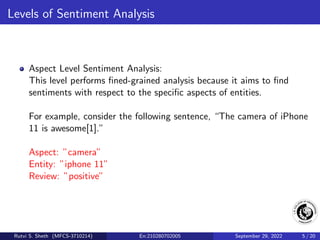 MFCS_Presentation_Sentiment_Analysis.pdf