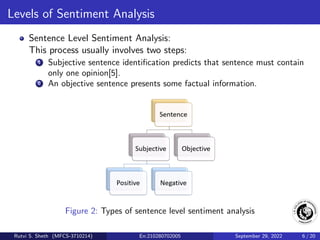 MFCS_Presentation_Sentiment_Analysis.pdf