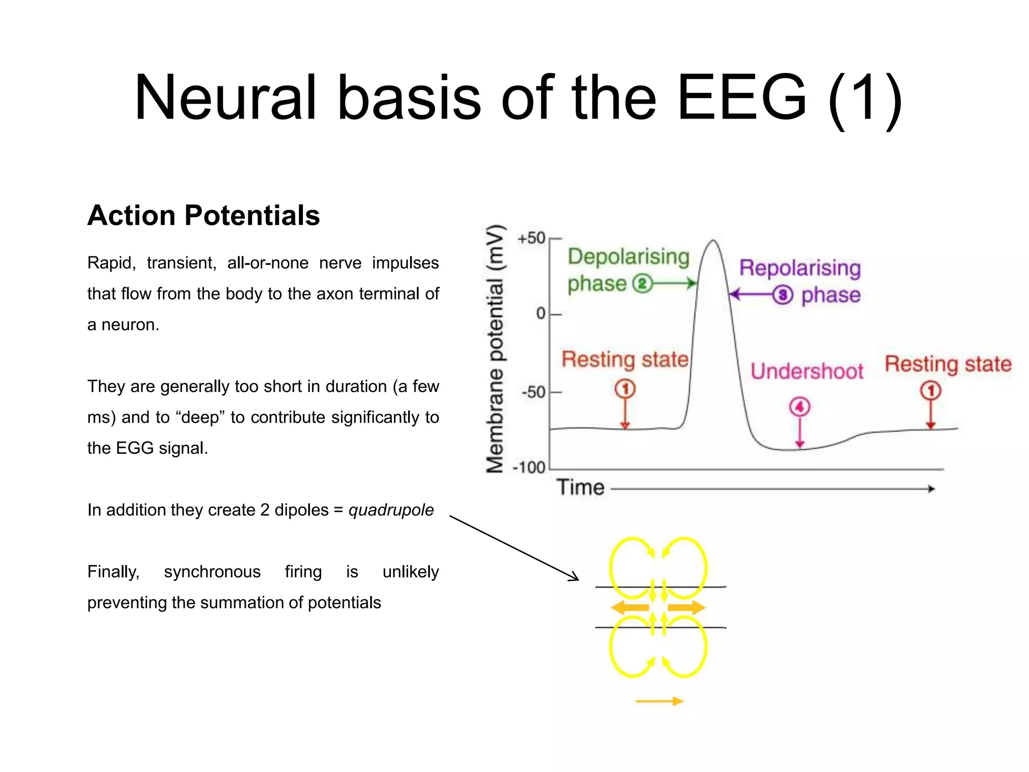 Basics of EEG | PPTX