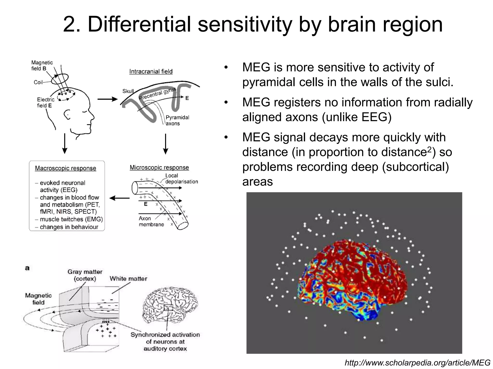 Basics of EEG | PPTX