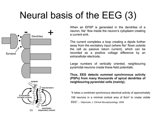 Basics of EEG | PPTX