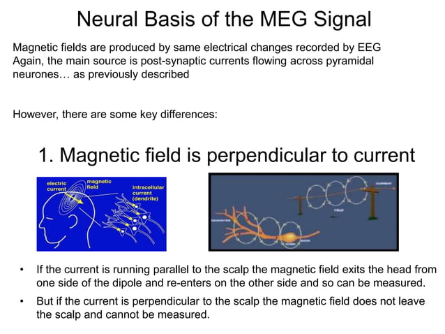 Basics of EEG | PPTX