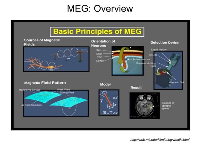 Basics of EEG | PPTX