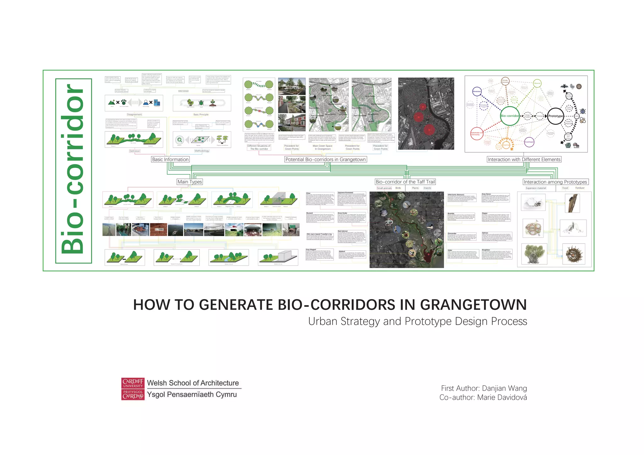 How to generate bio-corridors in Grangetown | PPT