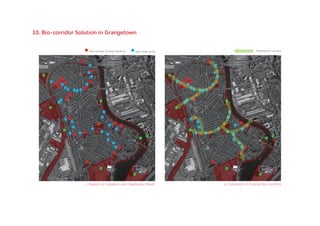 How to generate bio-corridors in Grangetown | PPT
