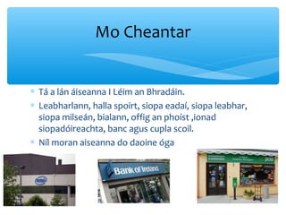 Irish Project - Mé fein agus mo shaol | PPT