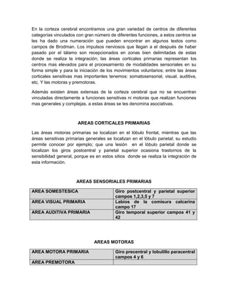 MORFOFISIOLOGIA 1 CLASES ORIENTADORAS | PDF