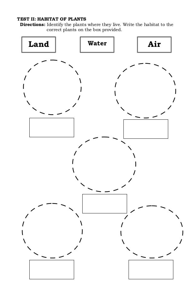 Summative Test Kinder 1st Quarter